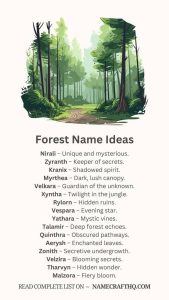 Jungle Names: 400 Lush Jungle Name Ideas & Generator