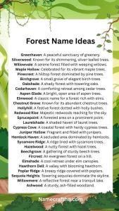 300+ Enchanting Forest Names To Transform Your Fantasy World