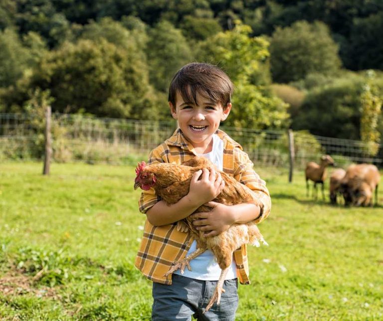 375+ Farm Names That'll Make Your Story (Or Real Farm) Unforgettable