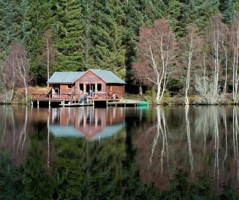 350 Unique Cabin Names: Cozy Retreat Names & Generator