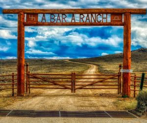 336 Epic Ranch Name Ideas for Your Fiction + Name Generator