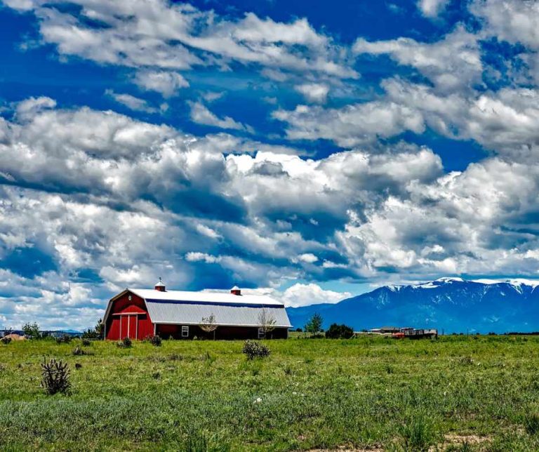 336 Epic Ranch Name Ideas for Your Fiction + Name Generator