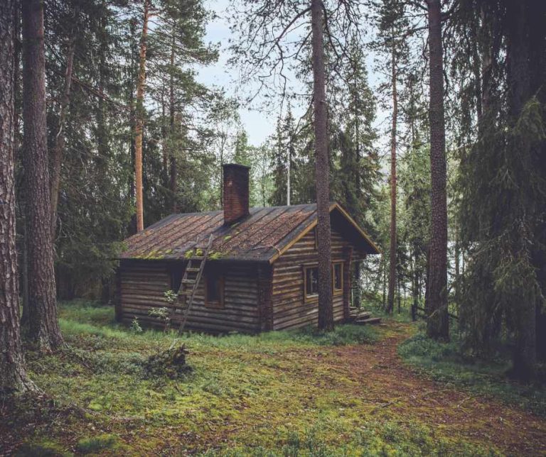 350 Unique Cabin Names: Cozy Retreat Names & Generator